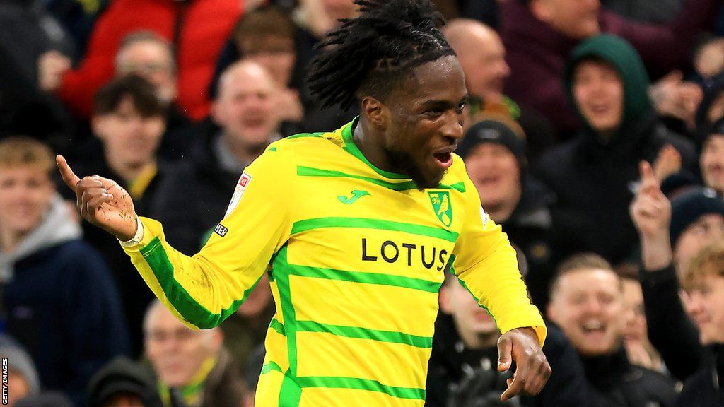 Norwich City 2-0 West Bromwich Albion: Jonathan Rowe scores again in ...