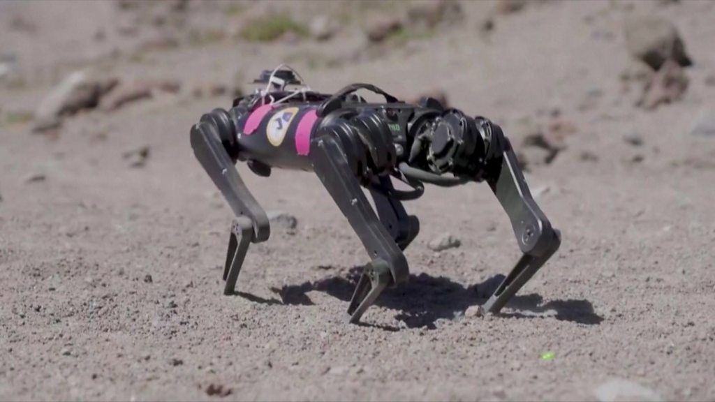 Meet the robot dog training to walk on the Moon - BBC Newsround