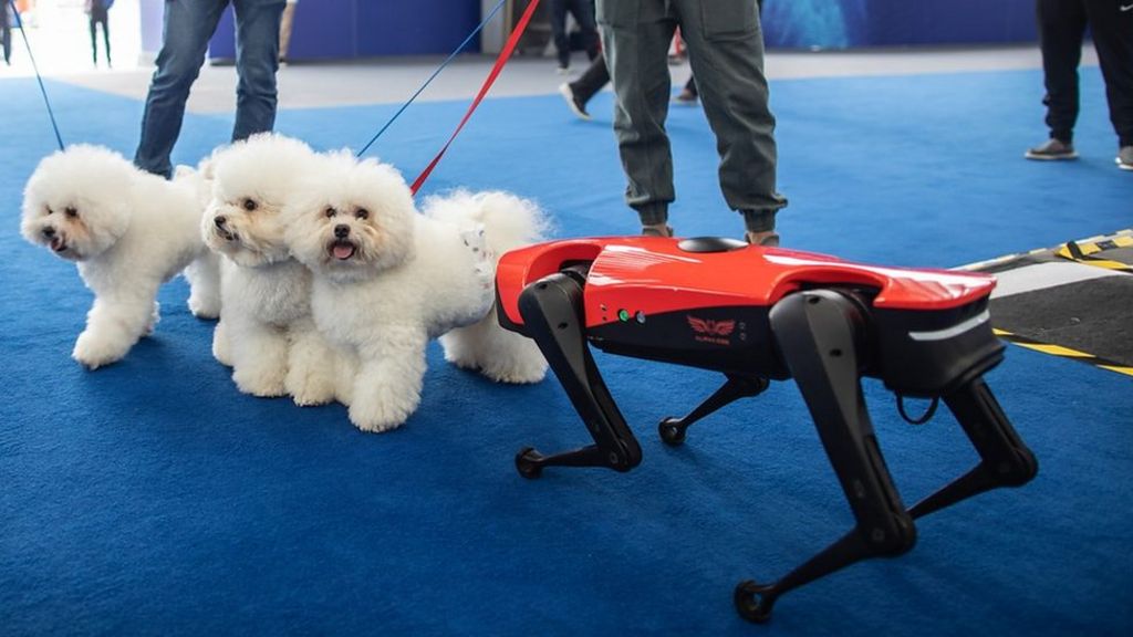 Fancy a robot dog as a future pet?! - BBC Newsround