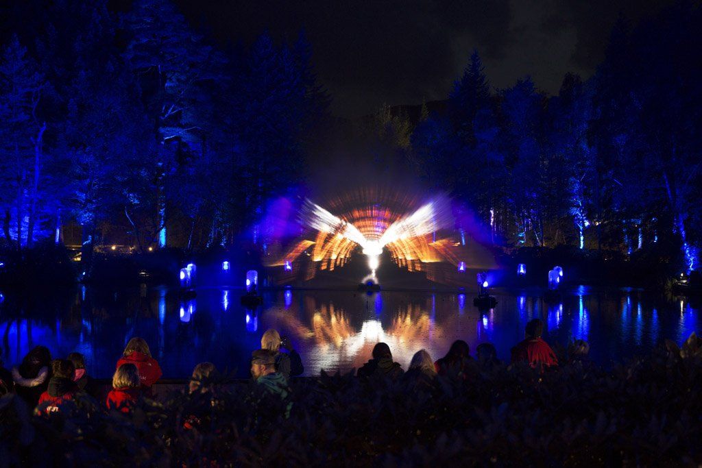Enchanted Forest lit up with 'shimmer' show - BBC News