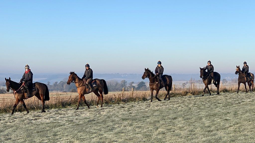 Trainers prep horses for Christmas races in tough conditions - BBC Sport