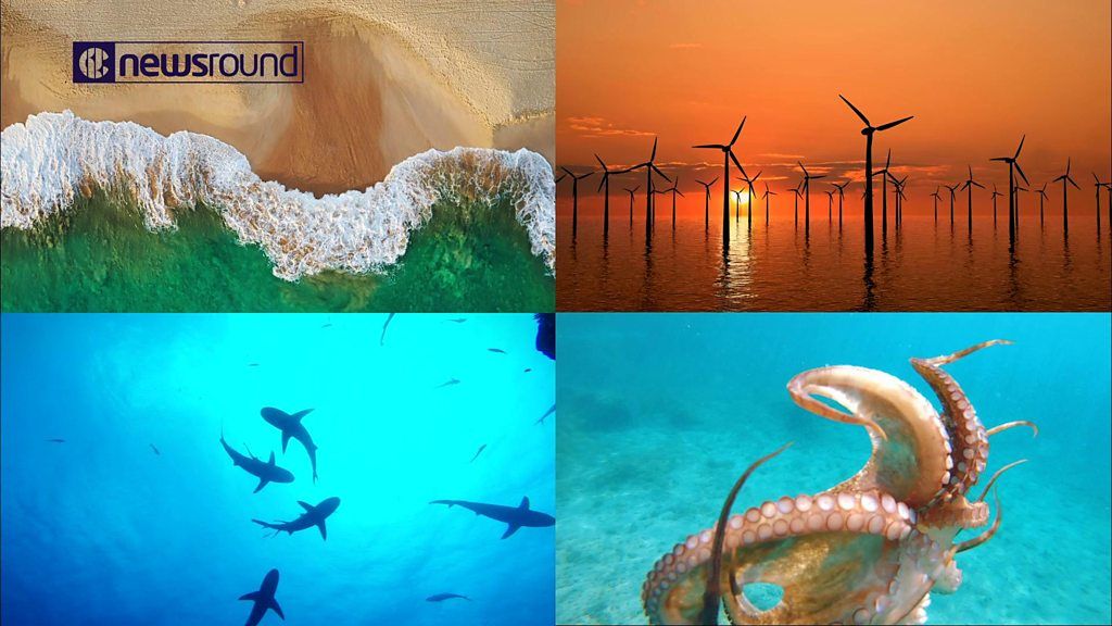 "Without the ocean we wouldn't be here" - BBC Newsround