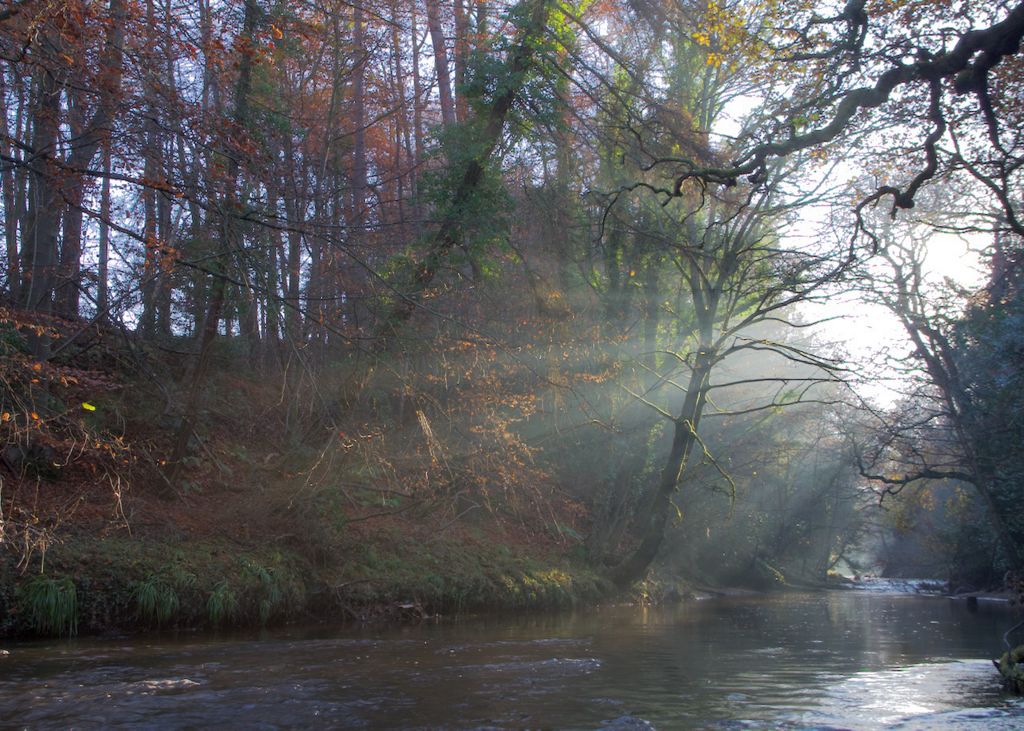 Your pictures of Scotland - BBC News