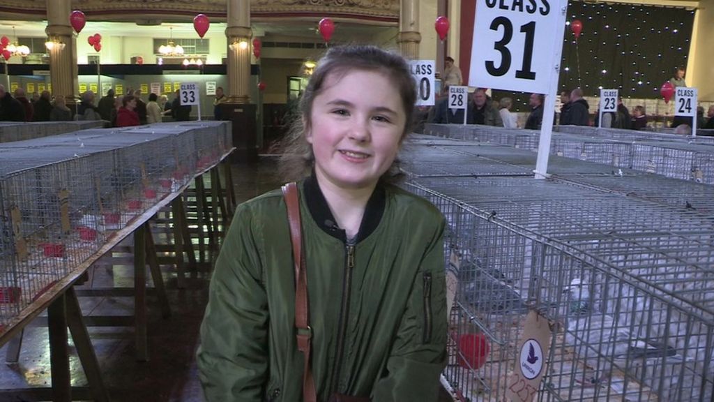 Young pigeon fancier up for top award at big bird show - BBC Newsround