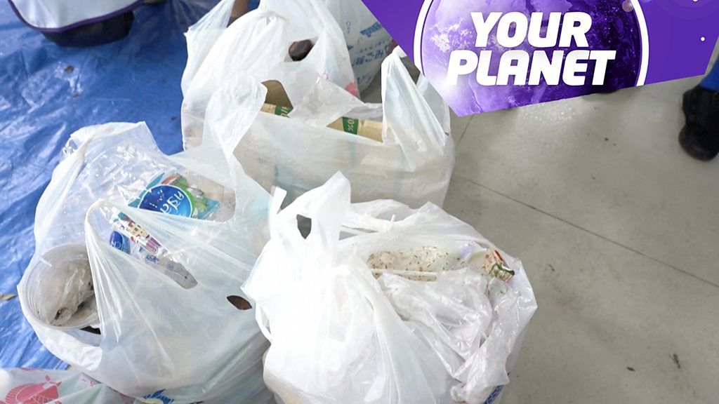 Plastic pollution: Scientists are worried about chicks growing up in ...