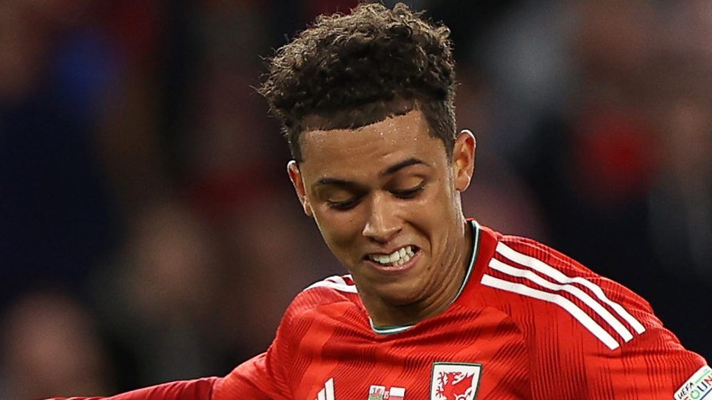 Brennan Johnson would cope at Spurs, but not be Kane's replacement - Page - BBC Sport