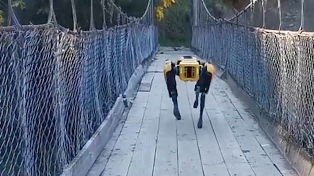 The robot sheep dog helping out on the farm - BBC Newsround