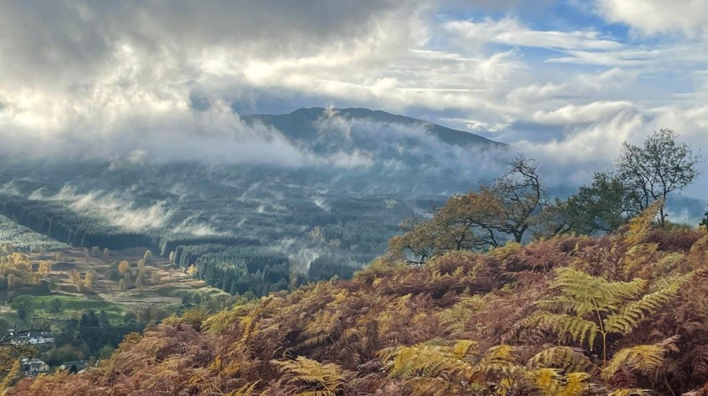 Your pictures of Scotland: 21 - 28 October - BBC News