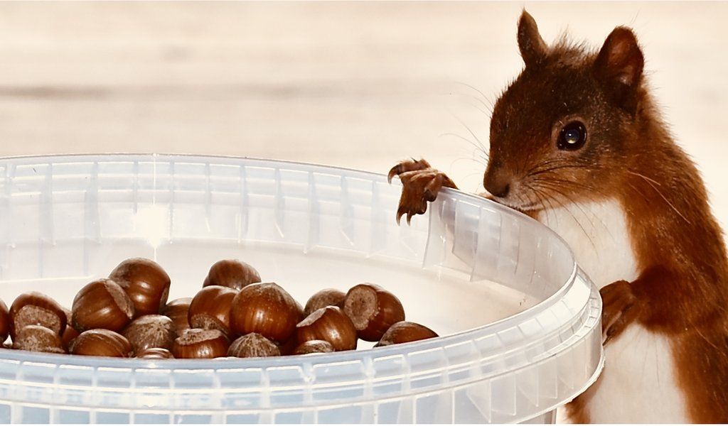 Your pictures of Scotland: 24 - 31 August - BBC News