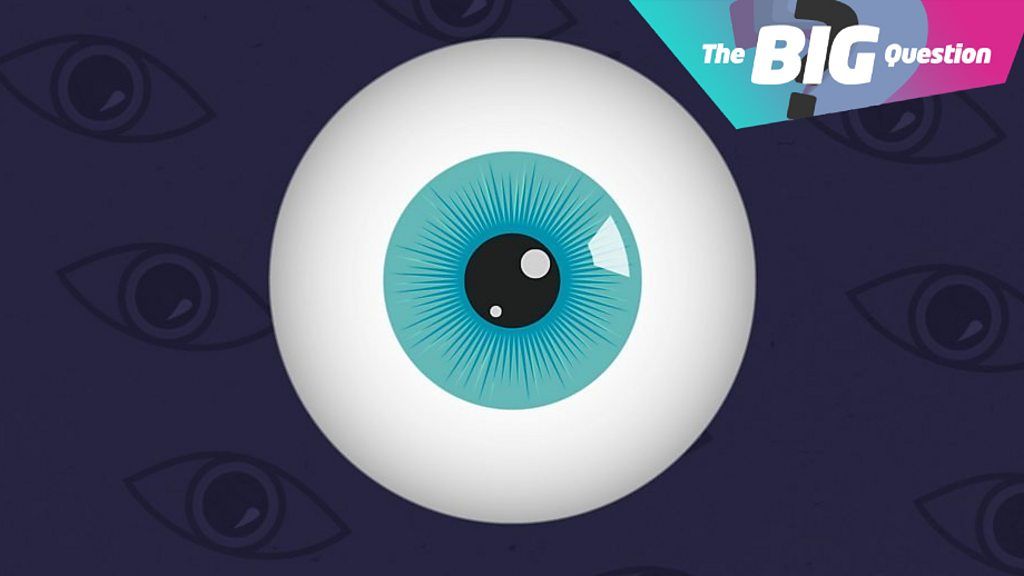 The Big Question: How are our eyes so small and yet we can see so far ...