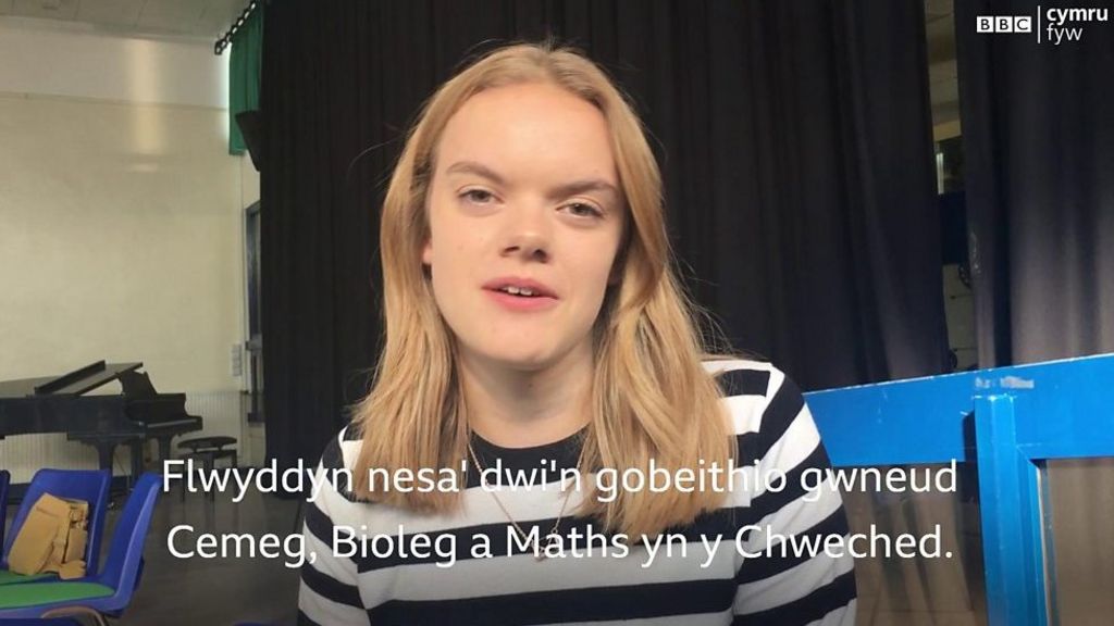 Canlyniadau rhagorol Ysgol Bro Morgannwg - BBC Cymru Fyw