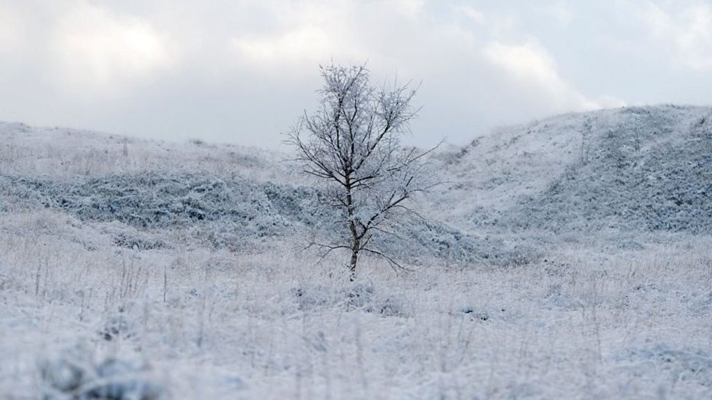 Is more snowy weather on its way? - BBC Newsround