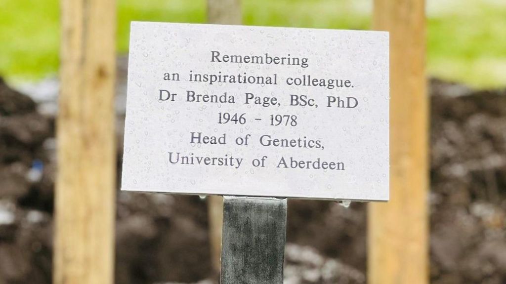 Brenda Page: Memorial for Aberdeen scientist murdered in 1978 - BBC News