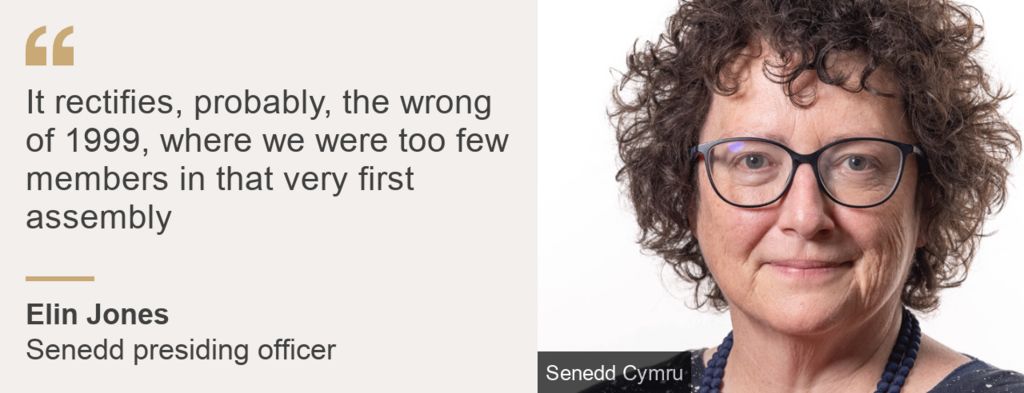 Wales politics: More politicians future proof Senedd - Elin Jones - BBC ...
