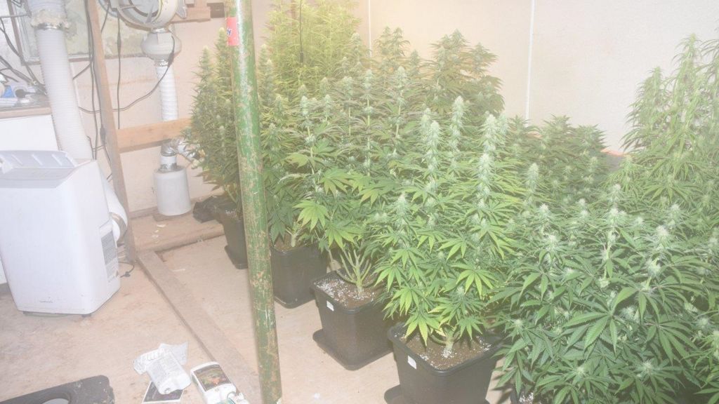 Underground drugs hoard found in Camborne by police - BBC News