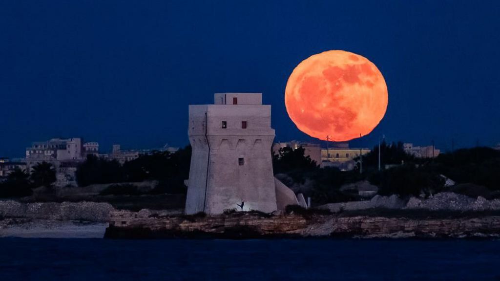 Flower Moon: Incredible pictures from around the world - BBC Newsround