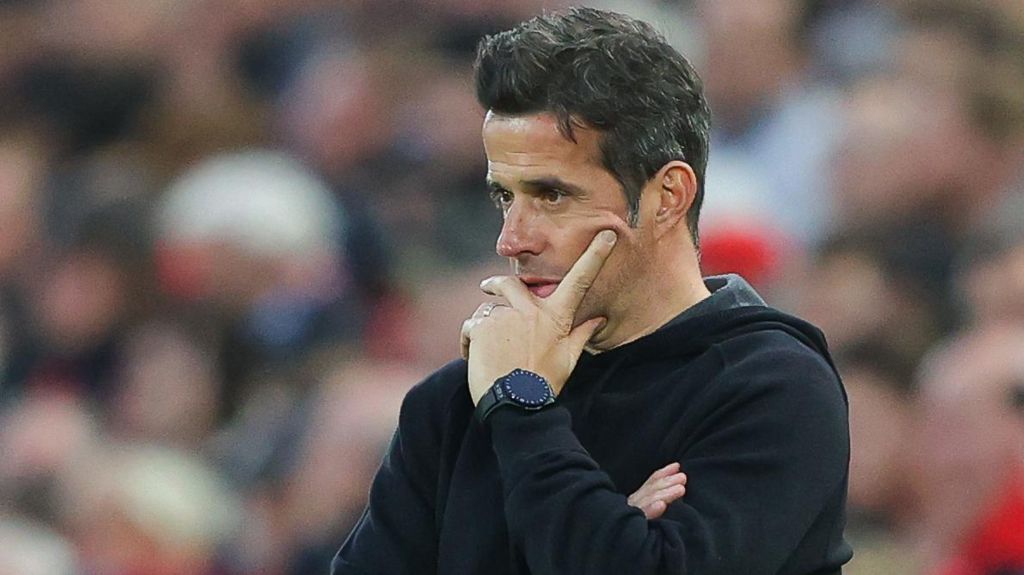 Fulham: Marco Silva says squad 'not enough' for Premier League - BBC Sport