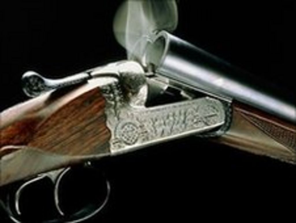 Gun concerns: Why doctors should not always speak out - BBC News