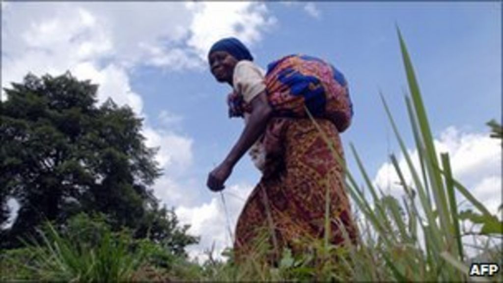DR Congo offensive against ADF rebels: 'Thousands flee' - BBC News
