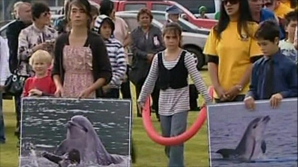 Funeral service for famous New Zealand dolphin, Moko - BBC News