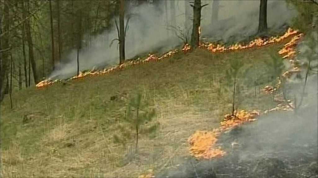 Fires rage as Russian heatwave continues - BBC News