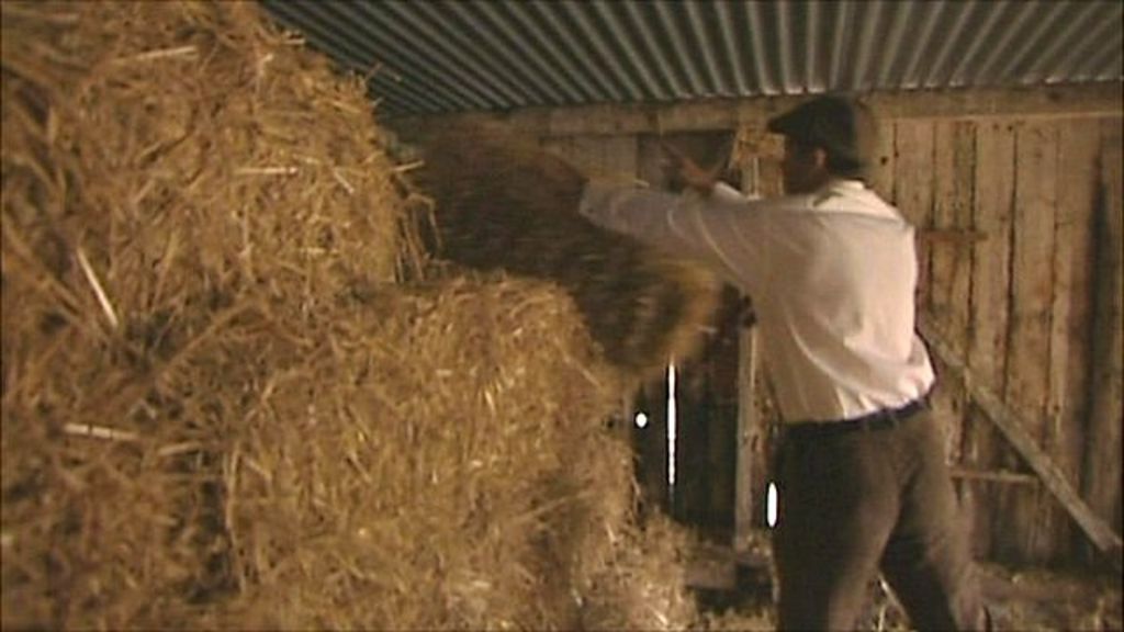 Hay shortage hitting farmers hard - BBC News