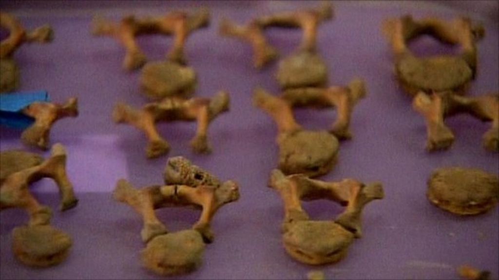 Aztec remains found in pots under Mexico City - BBC News