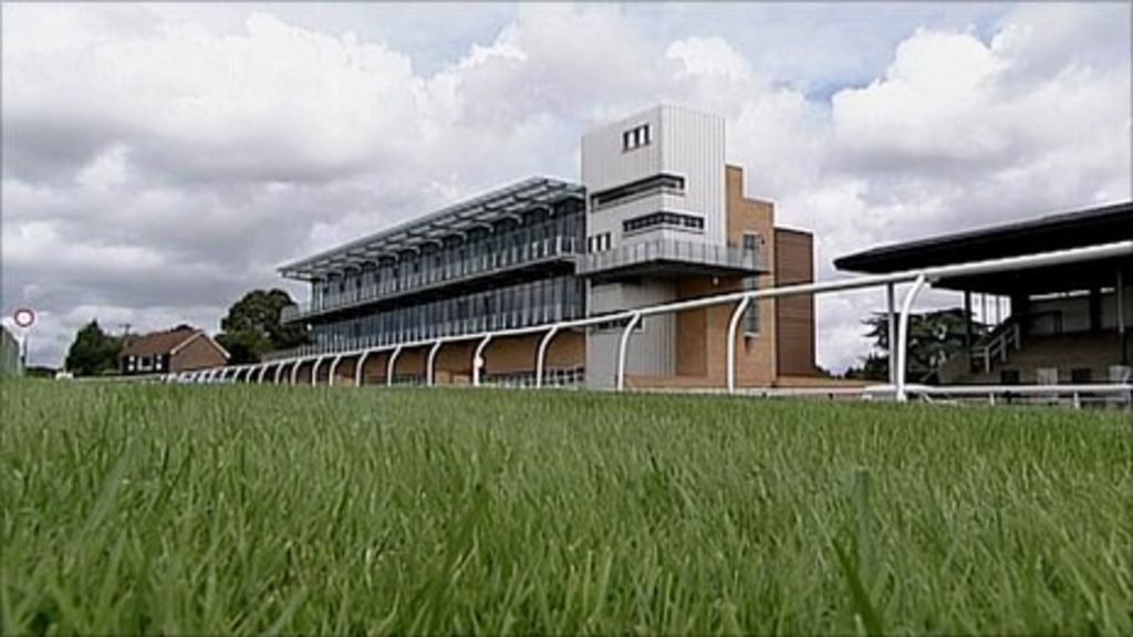 Fontwell Park racecourse opens £6.5m grandstand - BBC News