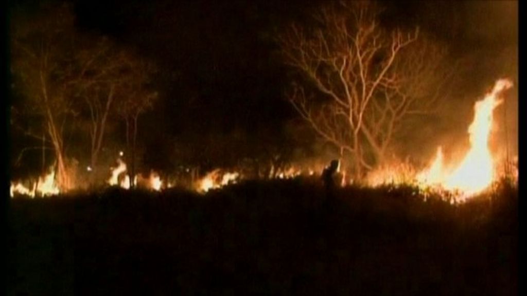 Wildfires out of control in Bolivia - BBC News