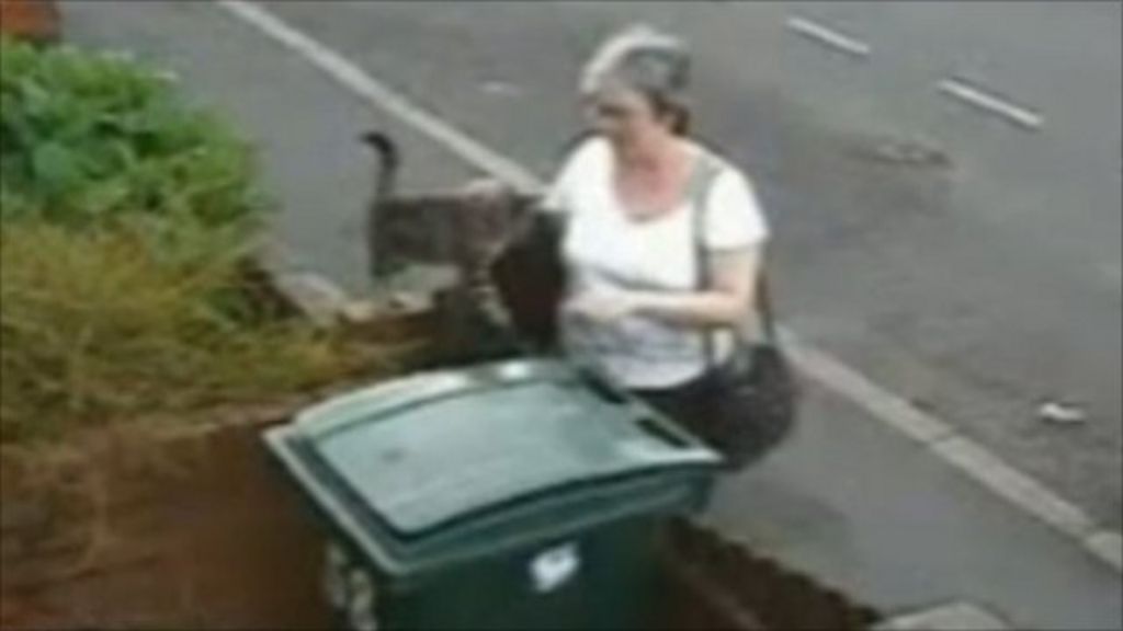 RSPCA to interview Coventry cat CCTV woman - BBC News