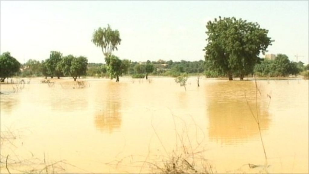 Aid agency warns of 'double disaster' for Niger - BBC News