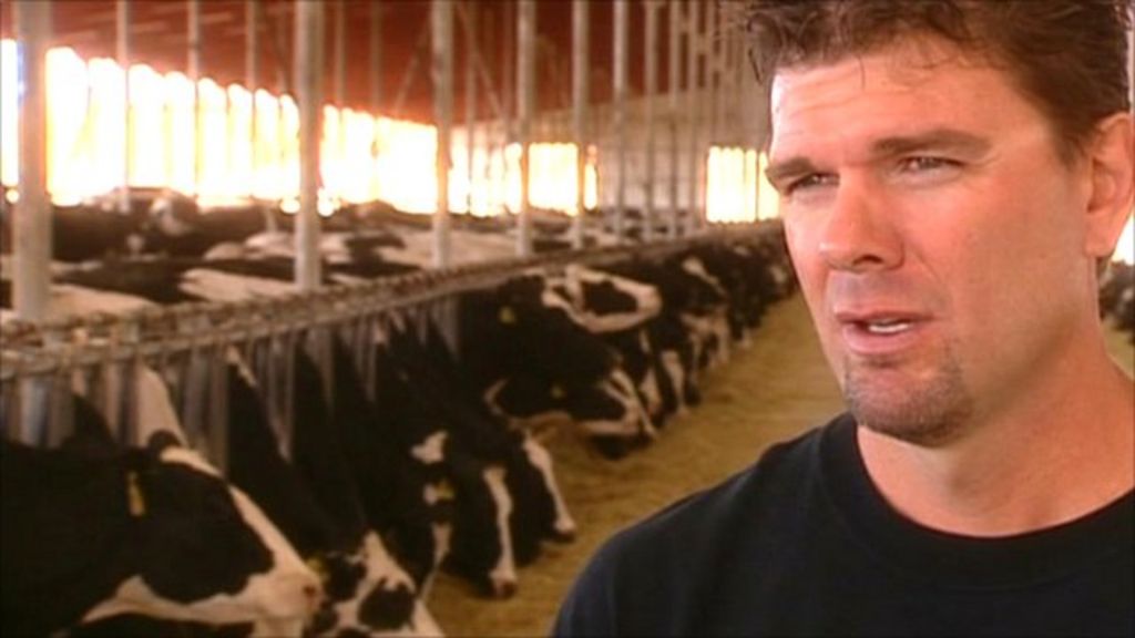 Milking 5,000 cows three times a day - BBC News