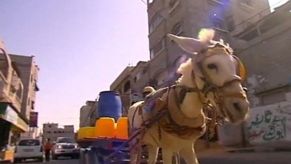 Gaza donkeys face competition from imported tuktuks - BBC News