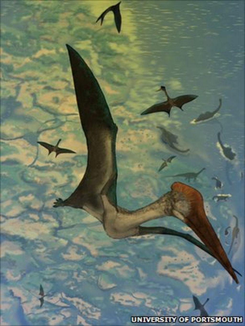 Pterosaurs' wings 'key to their size' - BBC News