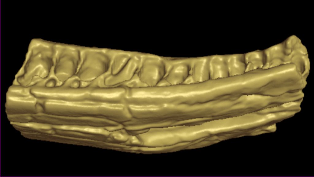 Colossal pliosaur fossil gets 3D CT scan - BBC News