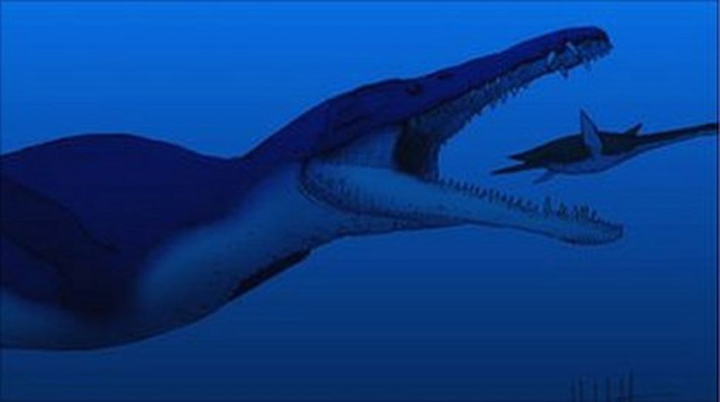 Colossal pliosaur fossil secrets revealed by CT scanner - BBC News