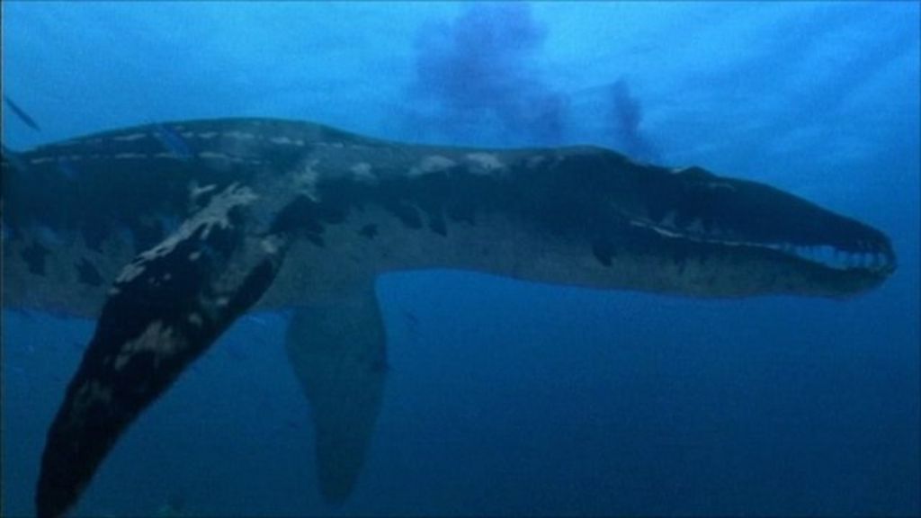 CT scan for colossal sea monster - BBC News