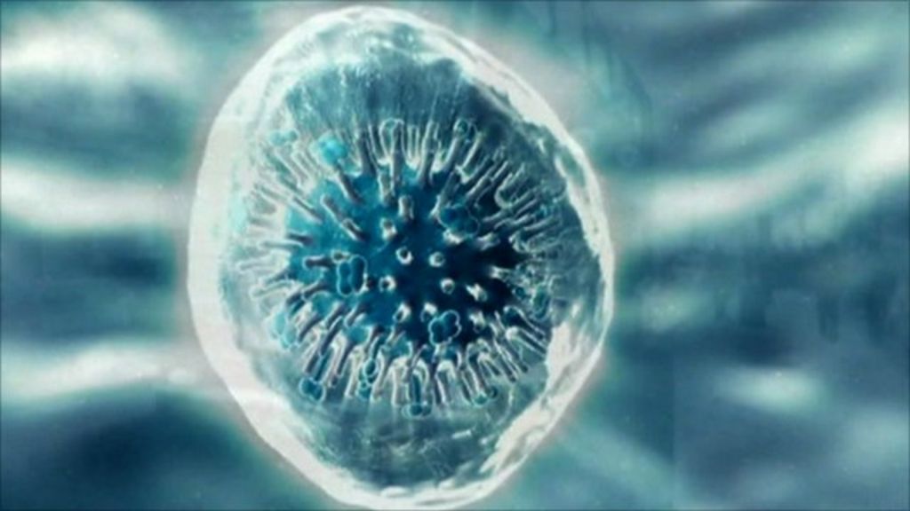 Ministers defend their handling of the winter flu outbreak - BBC News
