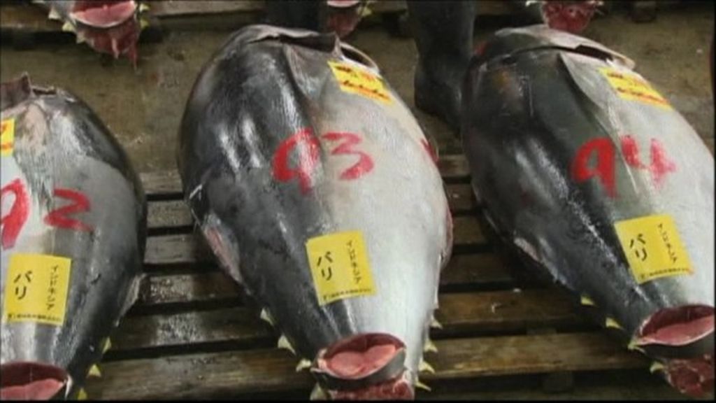 Japan New Year tuna sale sets record of nearly $400,000 - BBC News