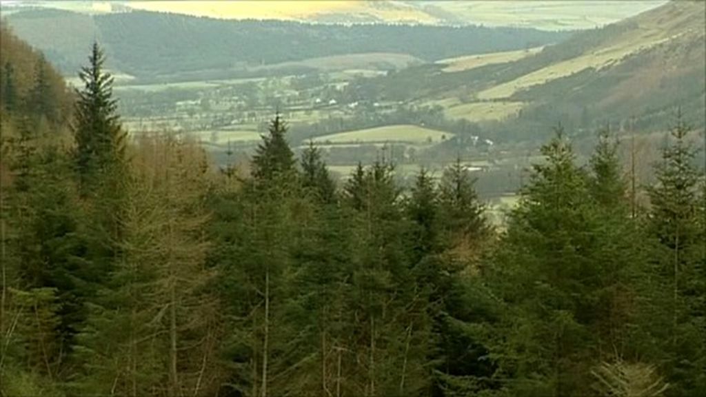 Forests vital to local community - BBC News