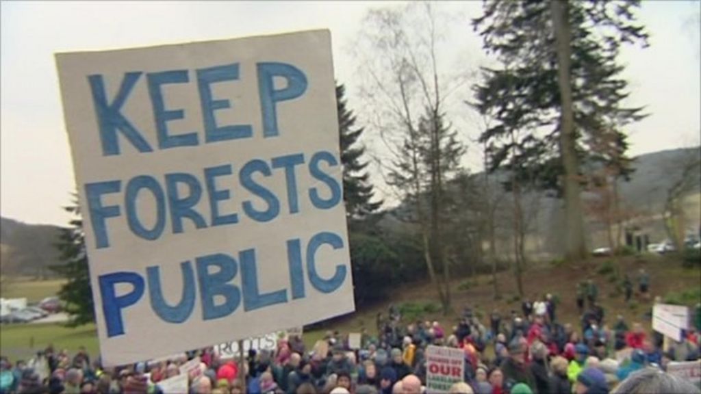 Protests over sale of public forests - BBC News