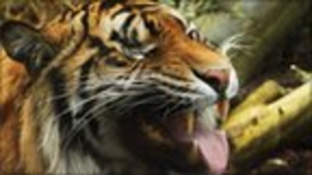 Your Pictures of Scotland: 25 Feb-4 March - BBC News