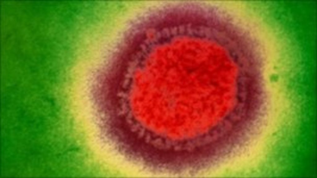 Call to vaccinate against possible H2N2 flu pandemic - BBC News