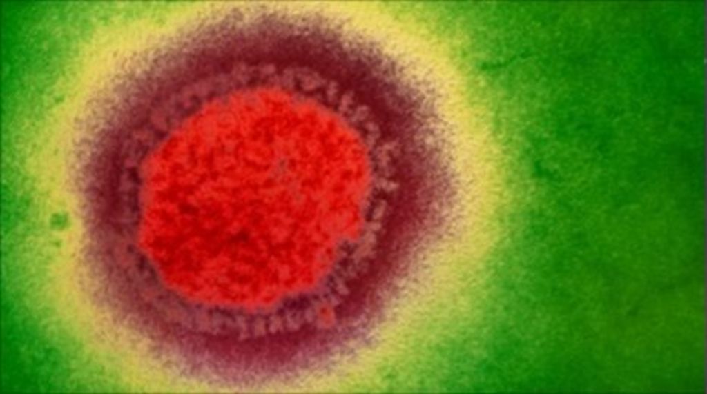 Call to vaccinate against possible H2N2 flu pandemic - BBC News