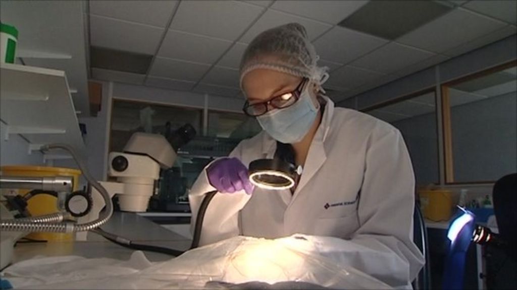 Forensic scientists warn over police cuts - BBC News