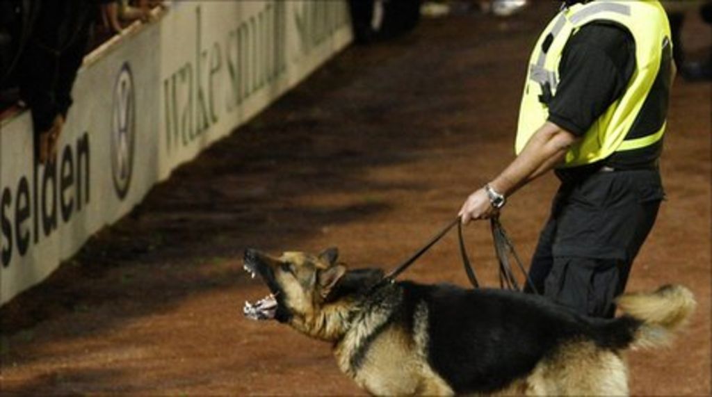 Police dog bites cost forces thousands in compensation - BBC News