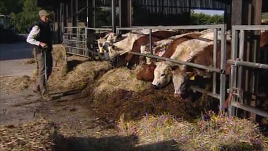 National Trust's Wimpole Home Farm seeks online farmers - BBC News