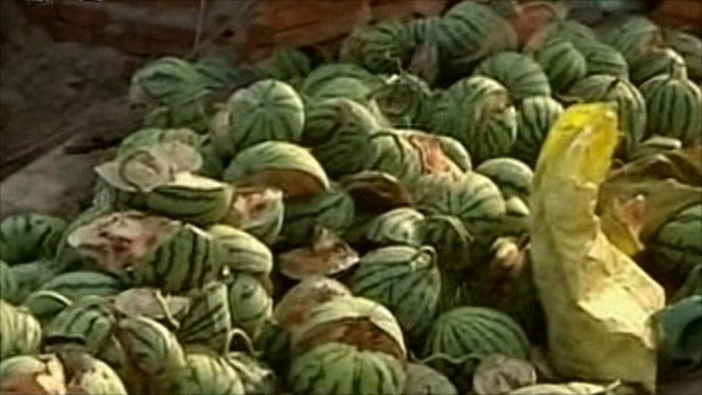 China farmers face 'exploding' watermelon problem - BBC News