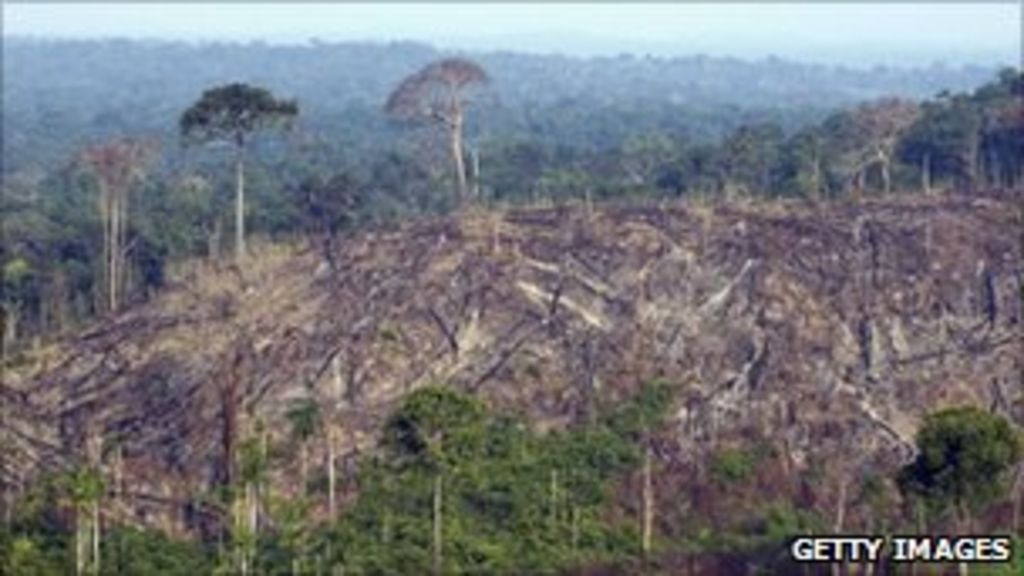Brazil passes 'retrograde' forest code - BBC News
