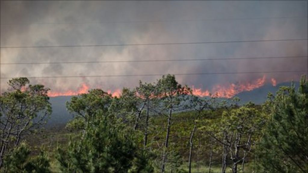 Dorset heath fire 'biggest since 1976' - BBC News